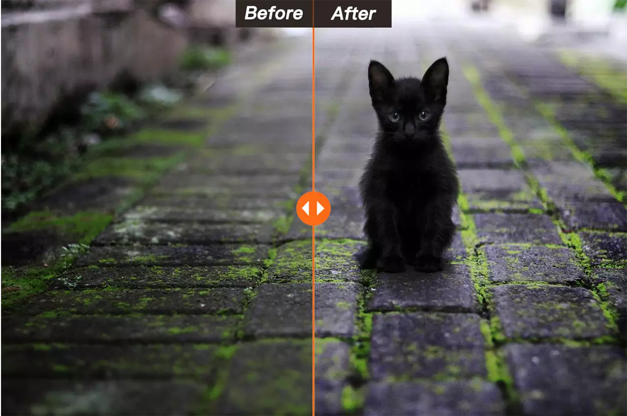 AILab Tools | Making the world enjoy AI and making AI empowerment easier