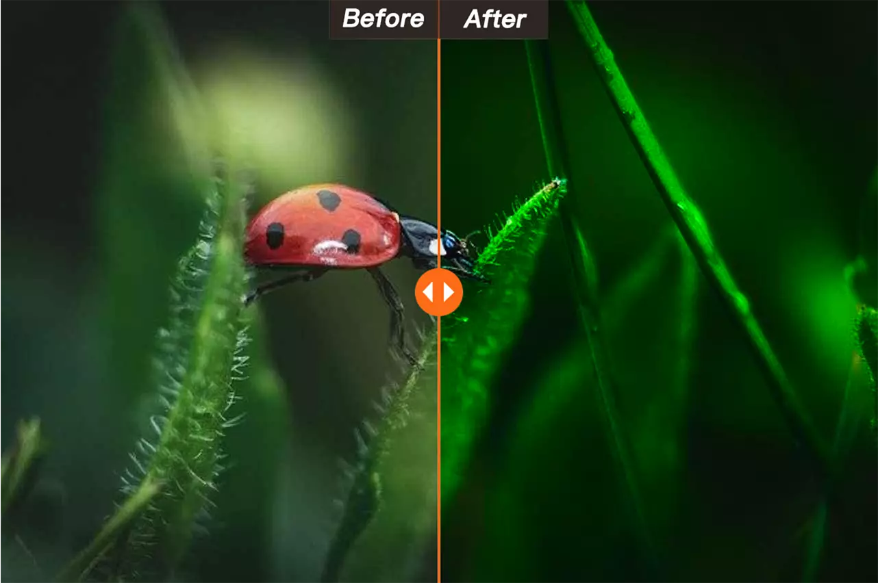 AILab Tools | Making the world enjoy AI and making AI empowerment easier