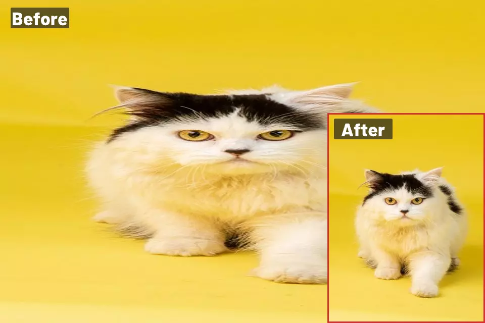 AILab Tools | Making the world enjoy AI and making AI empowerment easier